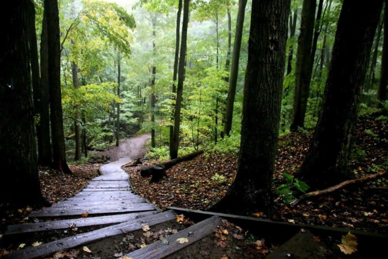 10 Best Mountain Bike Trails in Virginia - Mountain Bikes Ride